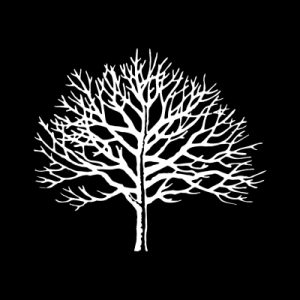 About the cladding visualiser