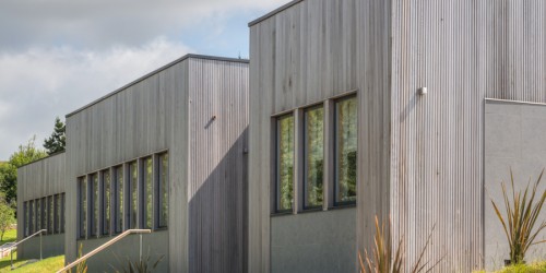 Western Red Cedar